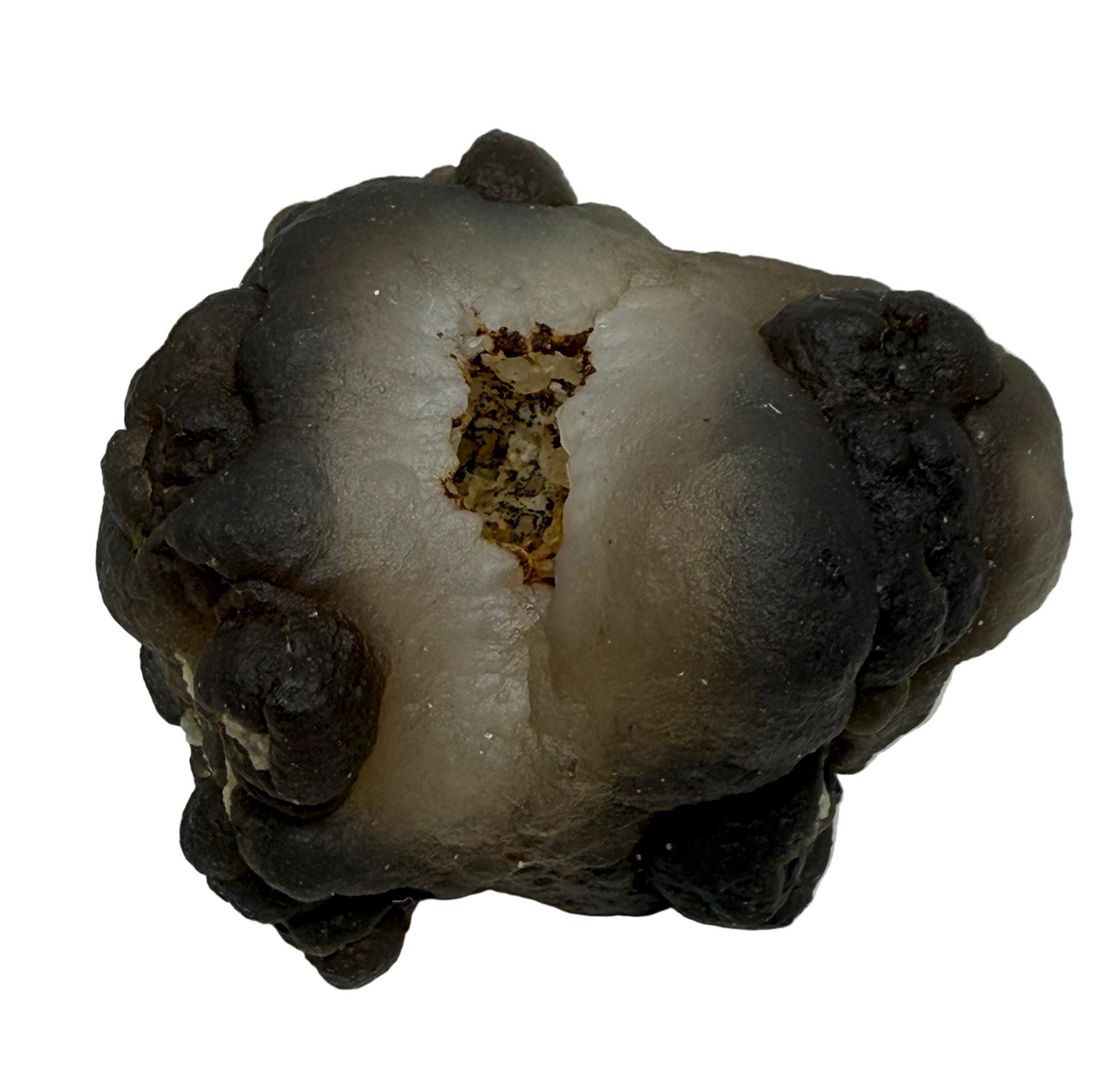 Panda Agate #325 – Wicked Crystals and Things