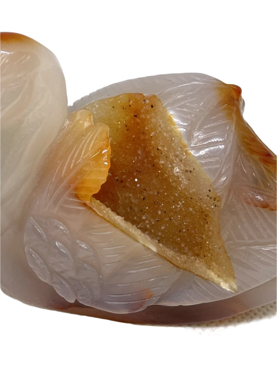 Agate Geode Duck #394 – Wicked Crystals and Things