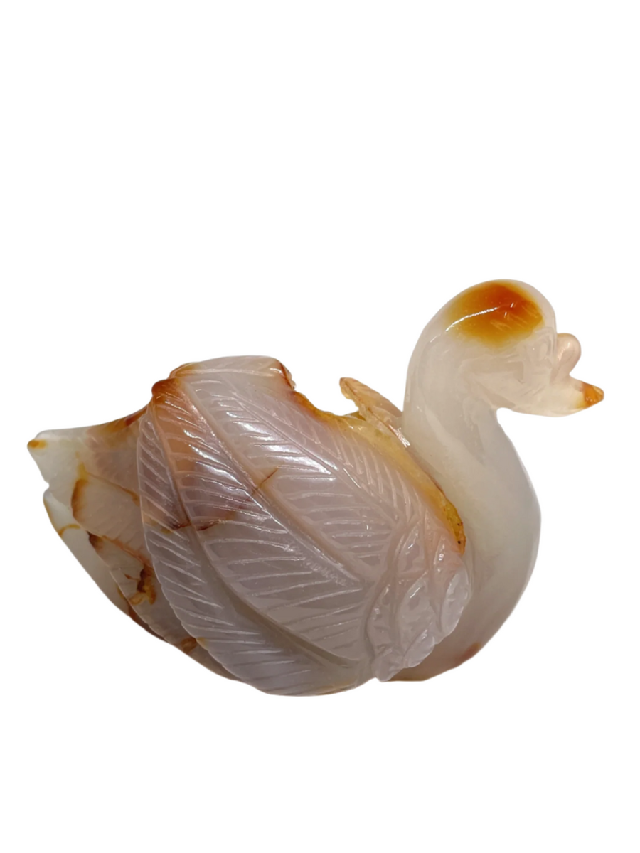 Agate Geode Duck #394 – Wicked Crystals and Things