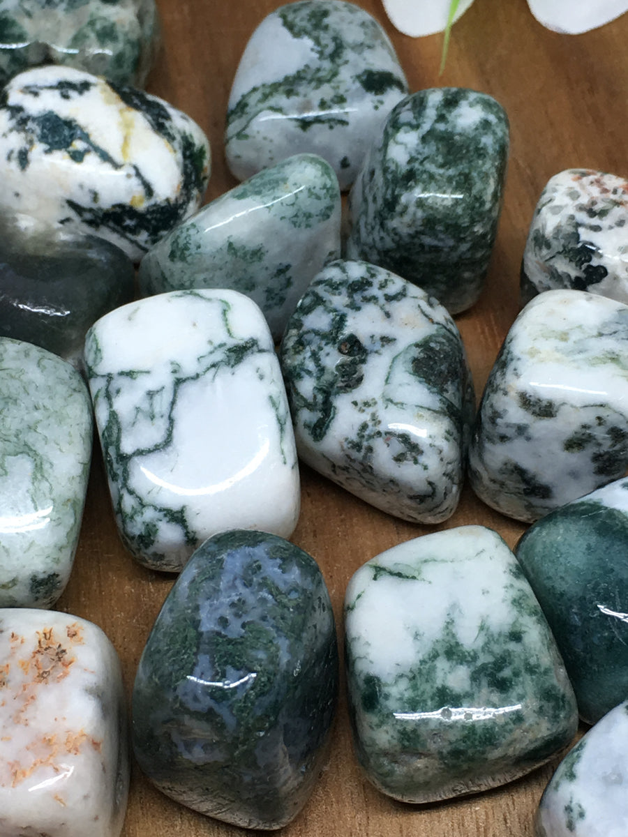 Tree Agate Tumble Stones – Wicked Crystals and Things