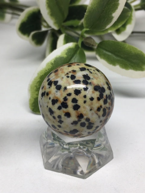 Dalmatian Jasper Sphere # 97 - 30mm – Wicked Crystals and Things