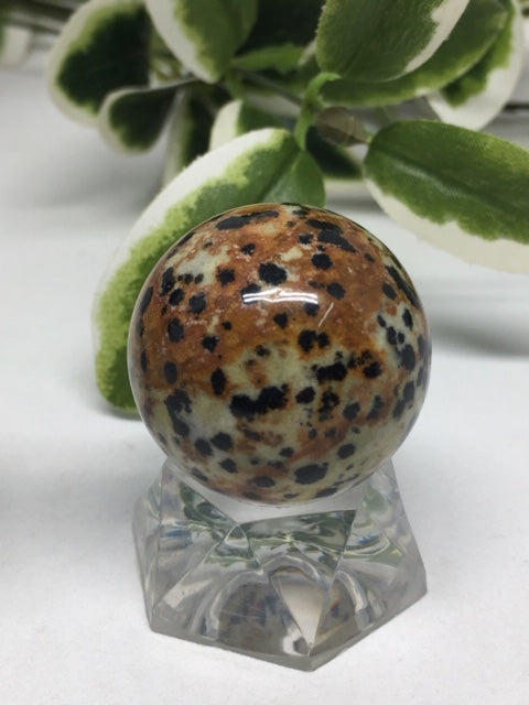 Dalmatian Jasper Sphere # 97 - 30mm – Wicked Crystals and Things