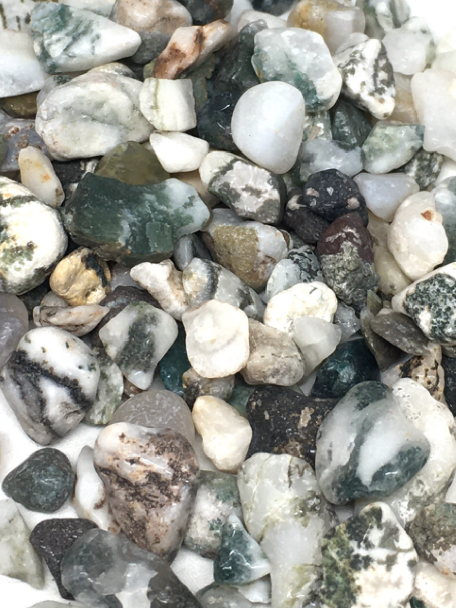Tree Agate Crystal Chips - 100g – Wicked Crystals and Things